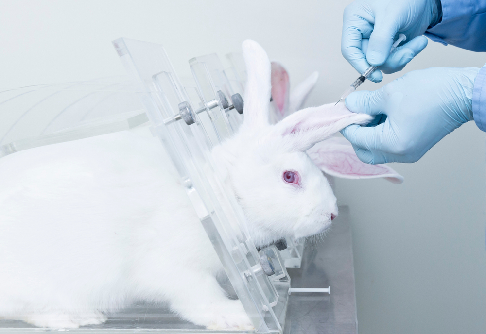 Senators, Animal Welfare and Science Groups Tell FDA to Update ...
